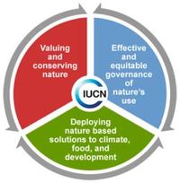 World Conservation Union Is Founded | EBSCO Research Starters