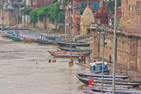 Ganges River Ecosystem | EBSCO Research Starters
