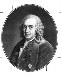 White "race" | EBSCO Research Starters