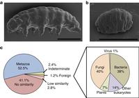 Tardigrade | EBSCO Research Starters